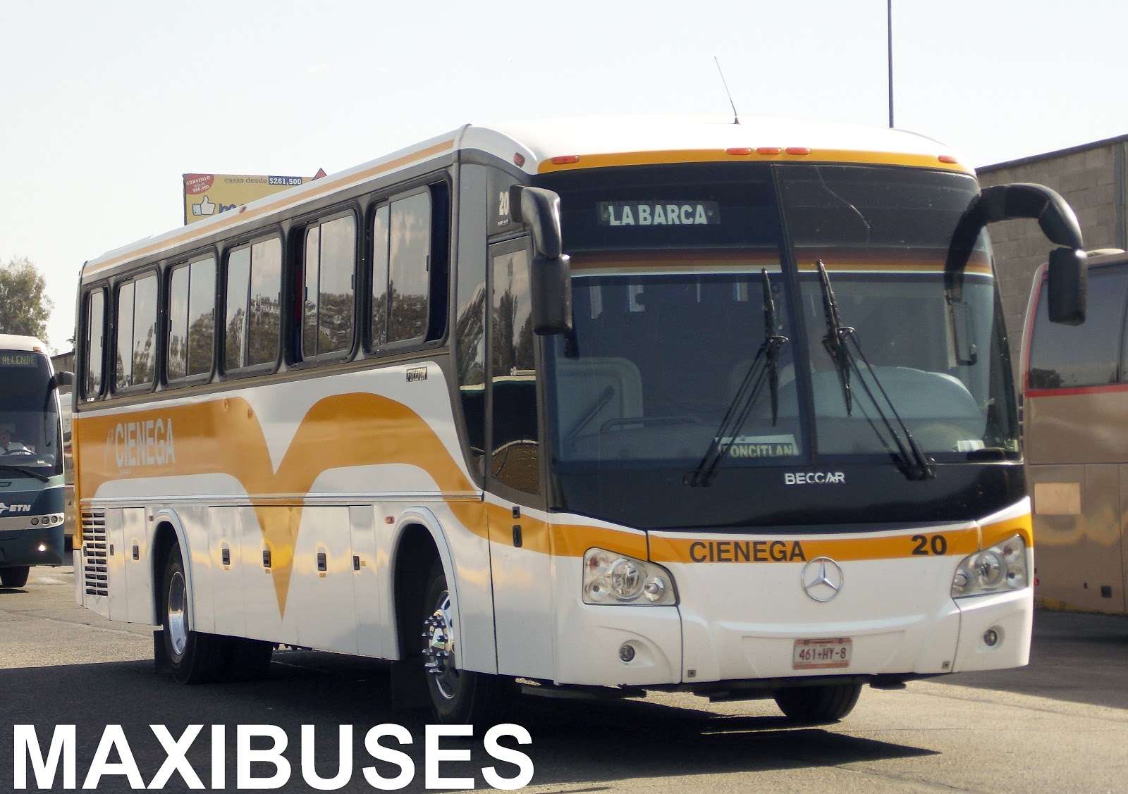 MAXIBUSES: AUTOTRANSPORTES CIÉNEGA DE CHAPALA