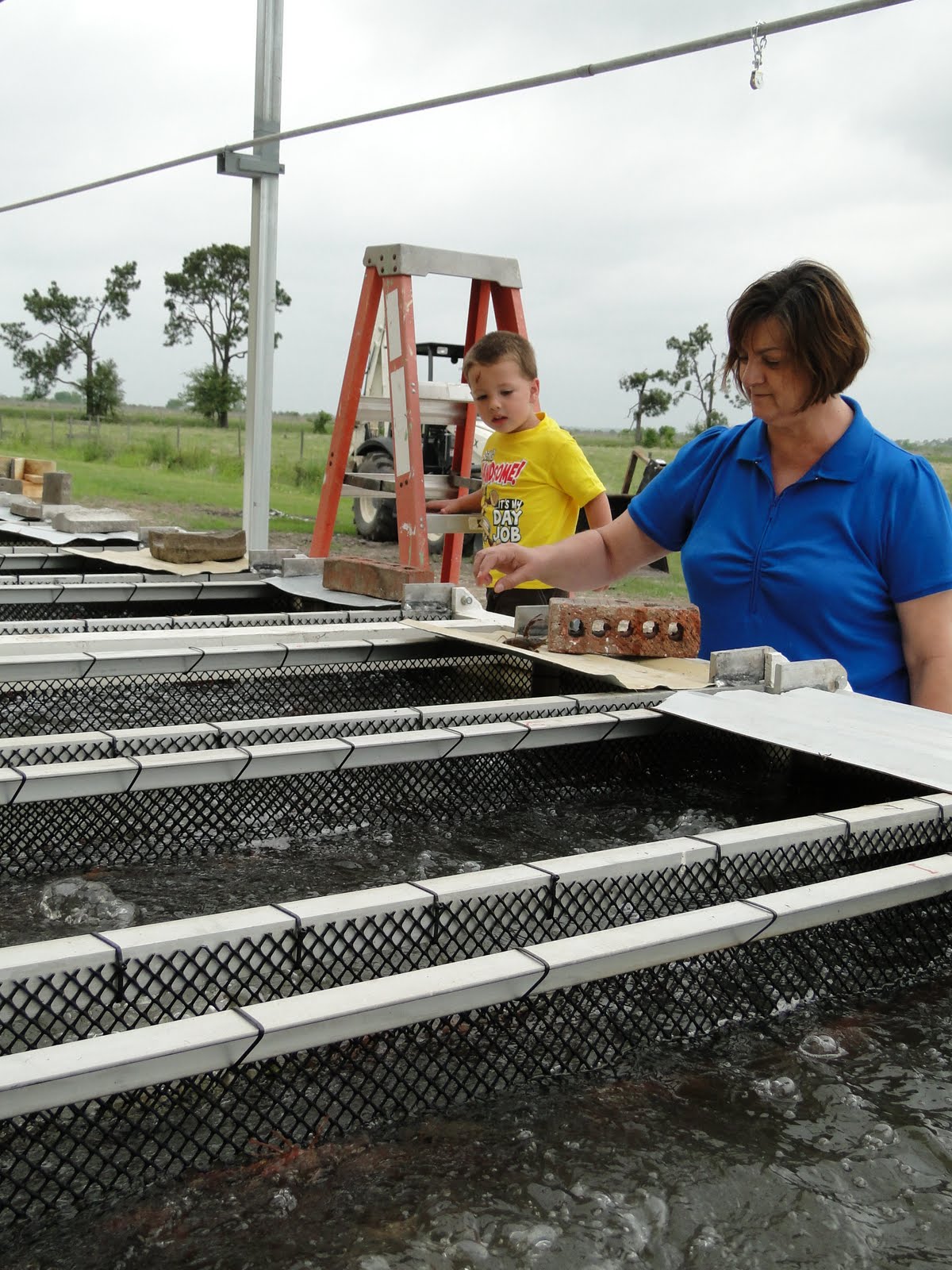 The Smith's House: The Crawfish