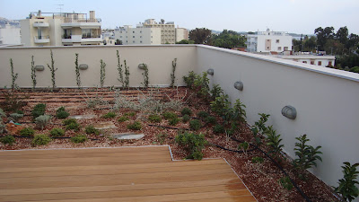 ΤΑΡΑΤΣΟΚΗΠΟΣ...Ο ΚΗΠΟΣ ΤΩΝ ΠΟΛΕΩΝ: Ένας κήπος με λαχανικά και αρωματικά ...