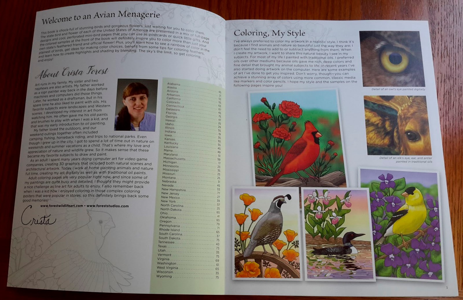 Crista Forest's Animals & Art: My New Birds Coloring Book Available For ...