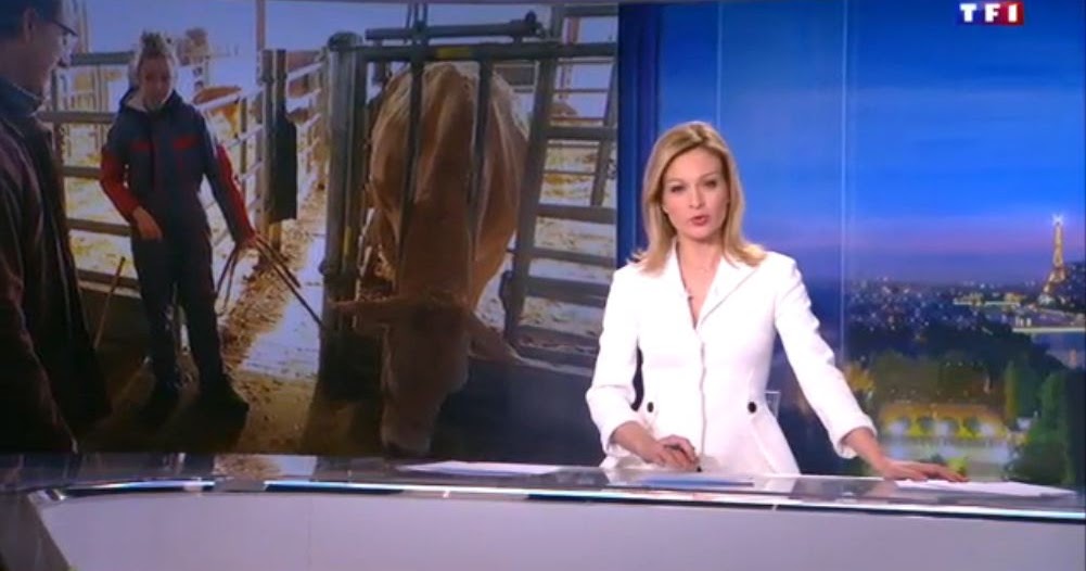 Au JT de 20H sur TF1 Reportage sur l'installation ~ DAX POWER FARMERS