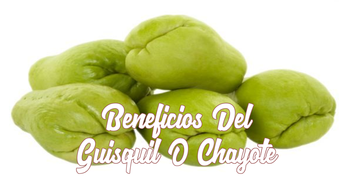 Beneficios Del Guisquil O Chayote | PLENITUD NATURAL