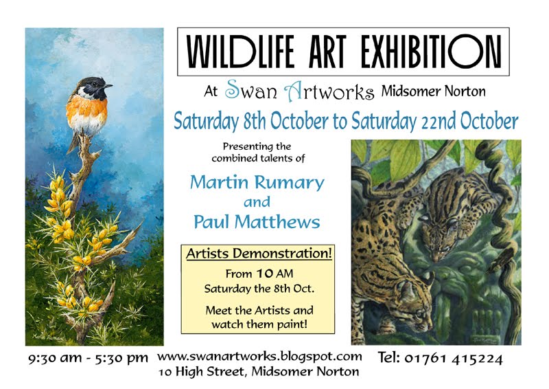 Swan Artworks - from the workshop: Wildlife Art Exhibition with Martin ...