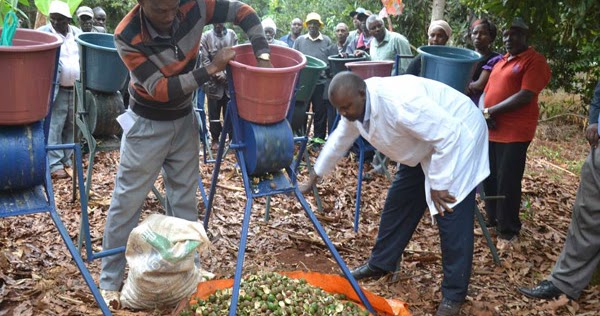 DEHUSKING MACADAMIA NUTS MADE EASY, CHEAPER
