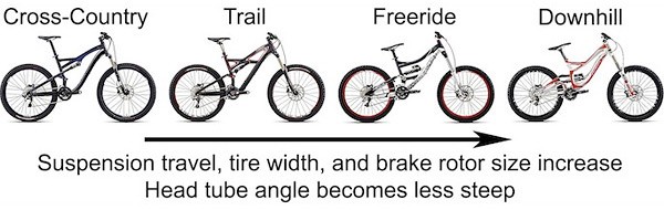 Juicy Chisme: Mountain Biking for Dummies