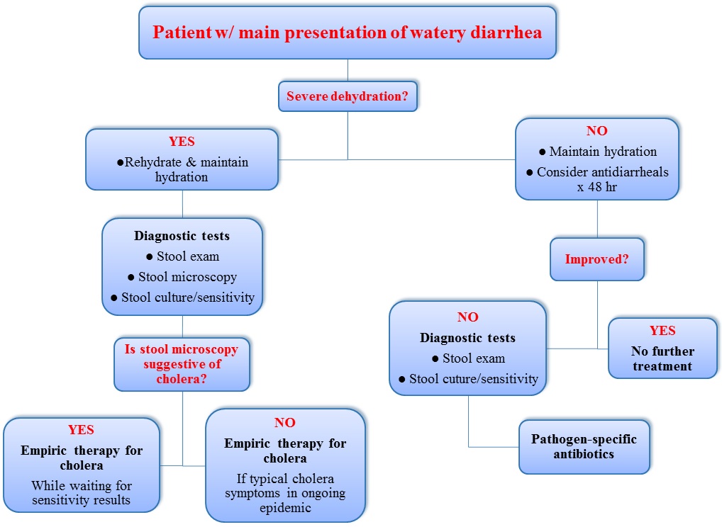 Hospital Student: ACUTE DIARRHEA IN ADULT - INFECTIOUS