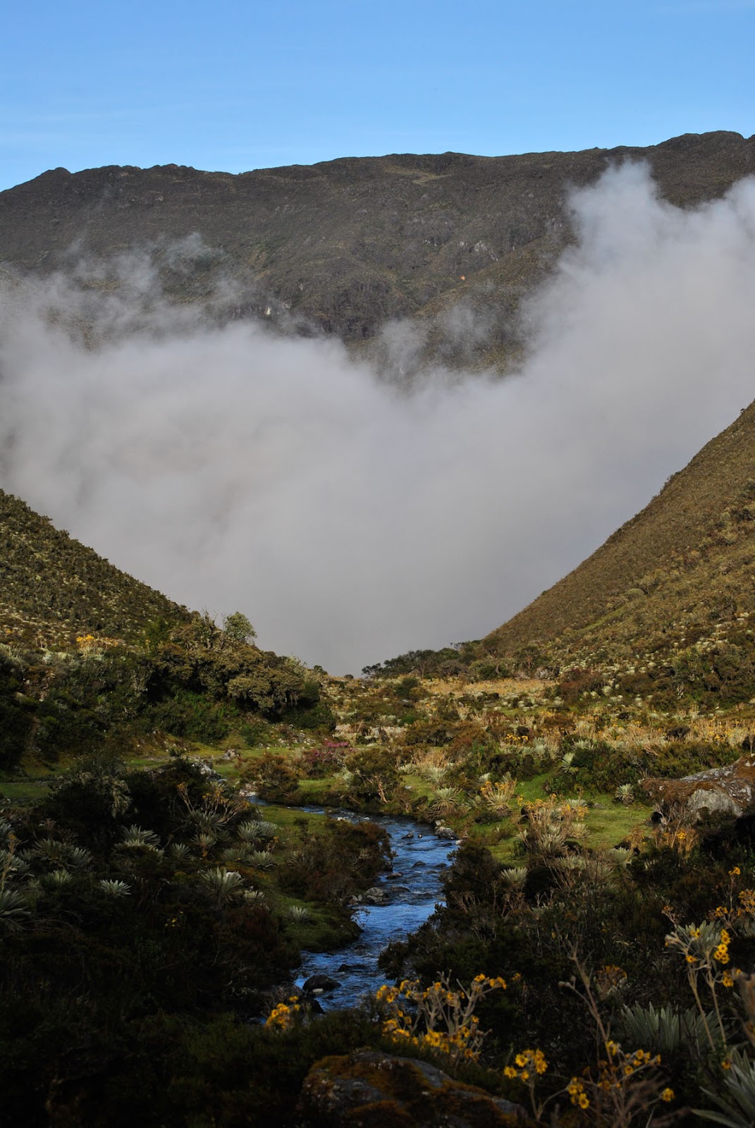 Venezuela mágica: Recorriendo el Paramo, Merida 2010