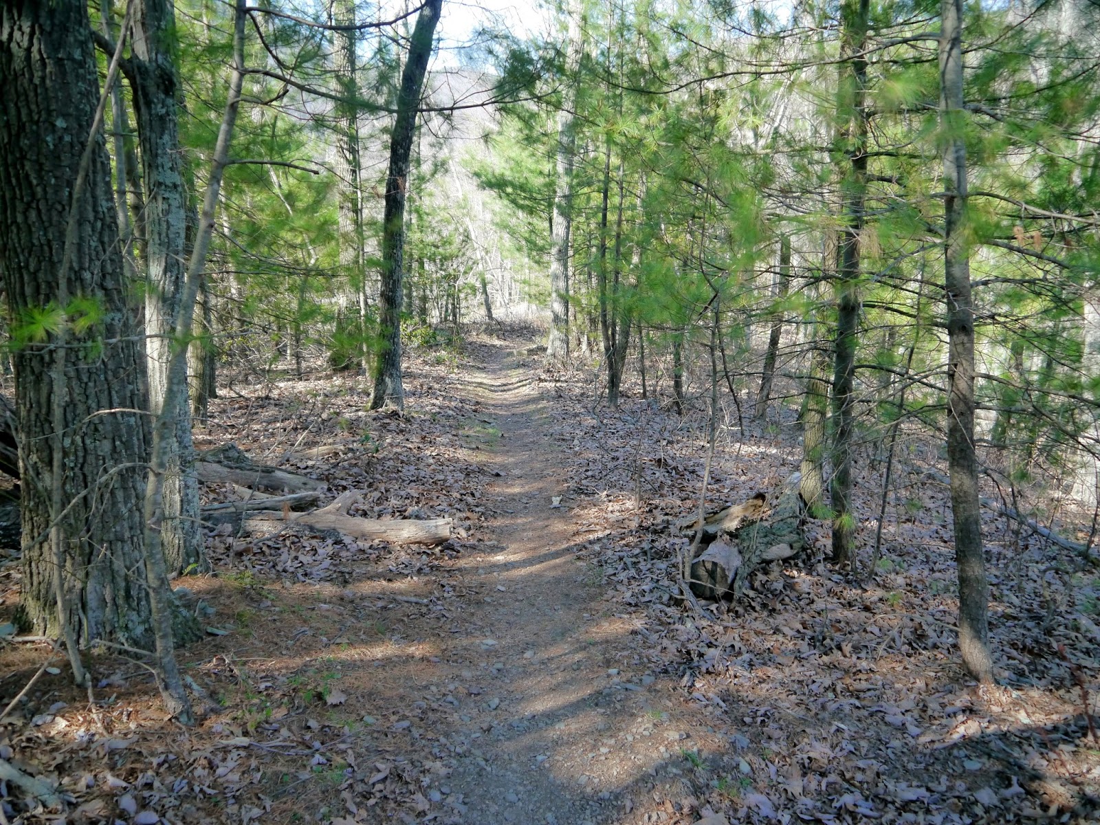 American Travel Journal: Riprap Trailhead to Blackrock Gap ...