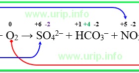 Penyetaraan Reaksi Redoks: SCN- + O2 → SO42- + HCO3- + NO3- - Urip dot Info