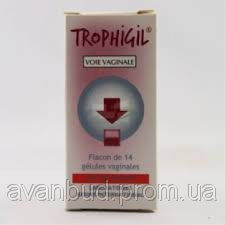 trophigil - France News Collections