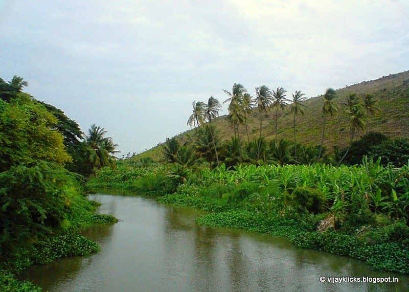 TRAVELING SOLDIER: GREEN JEWELS OF CAUVERY DELTA