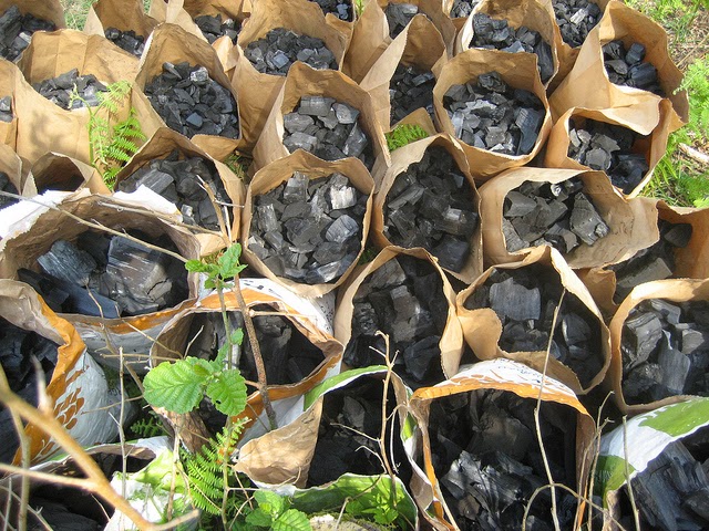 Biochar from charcoal production and recycling of agricultural and ...