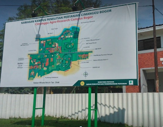 Pengalaman Magang Di Balittro - Zedo Petani Berdasi