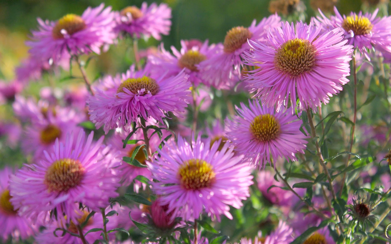 Travel & Adventures: Moscow, Russia, four seasons. The Nature of Moscow ...