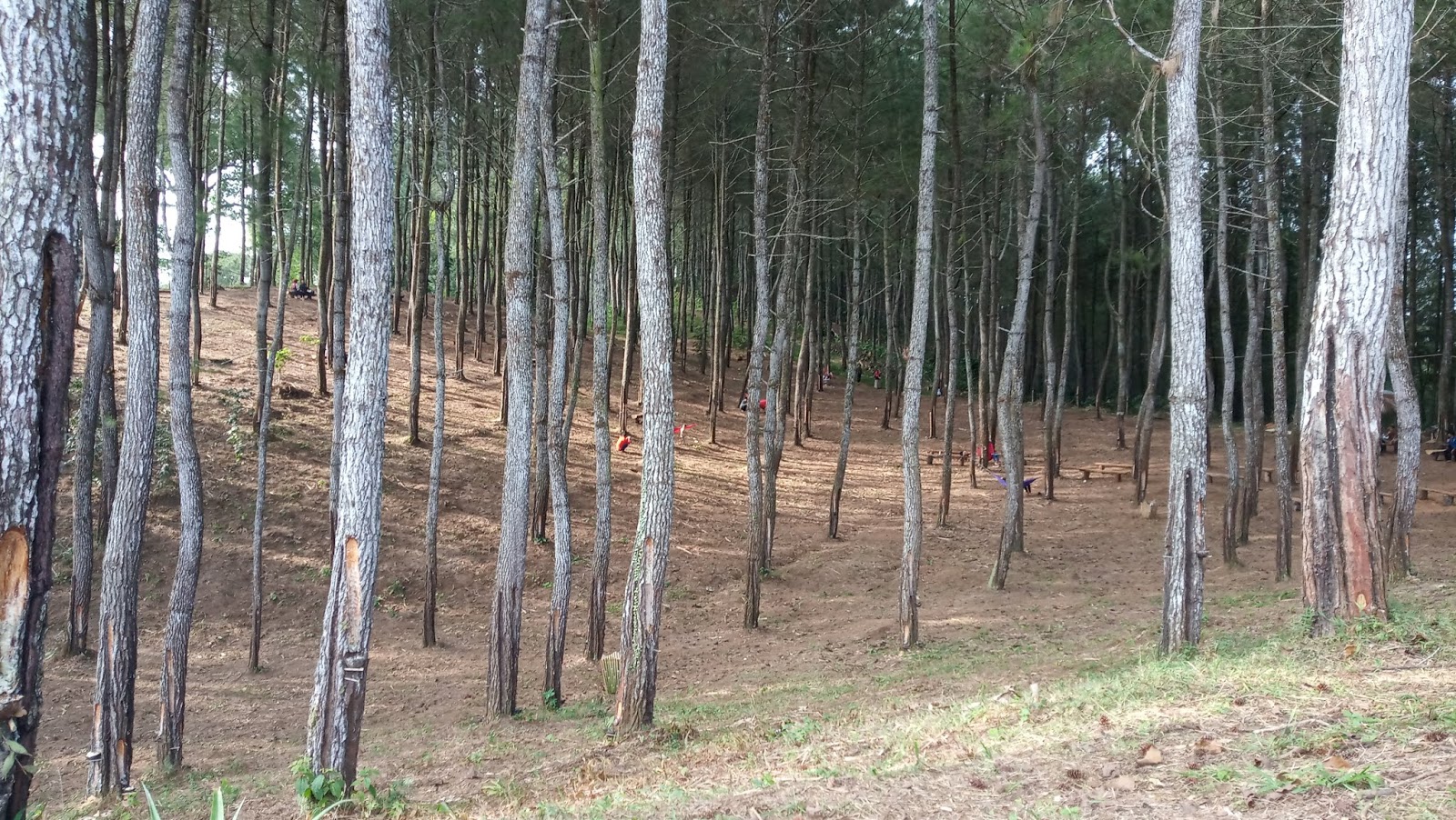 TEMPAT SUNYI YANG KITA TIDAK PERNAH TAHU AKAN INDAH NYA ALAM SEKARANG ...