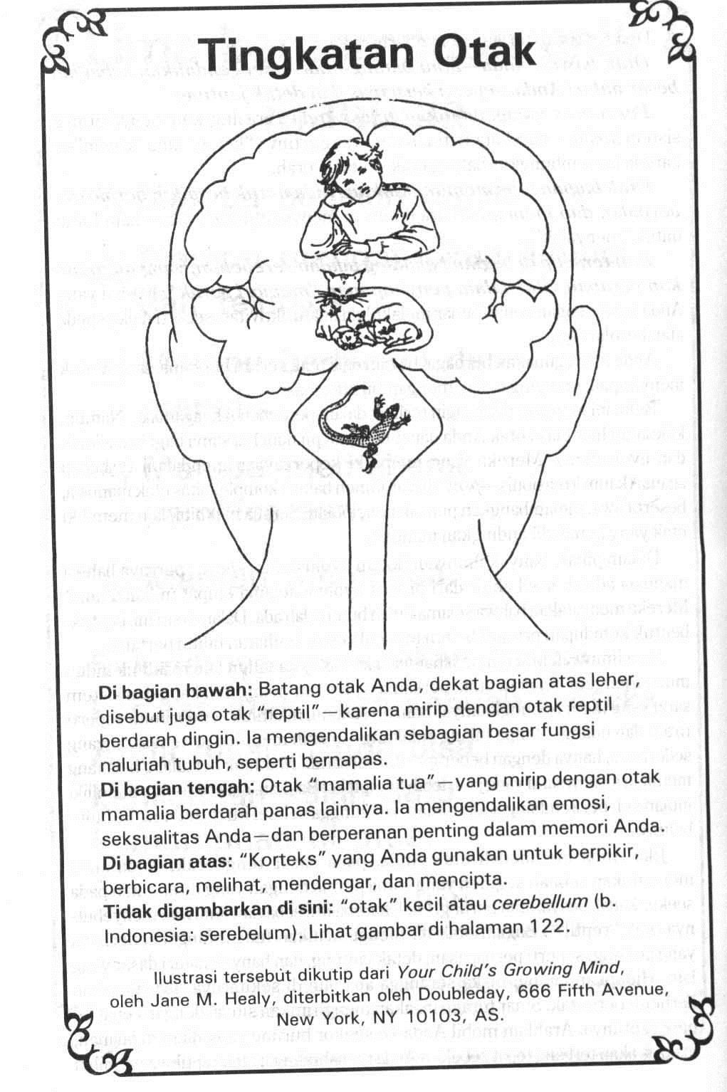 Cerita Tentang Otak ~ Oase Pembelajaran