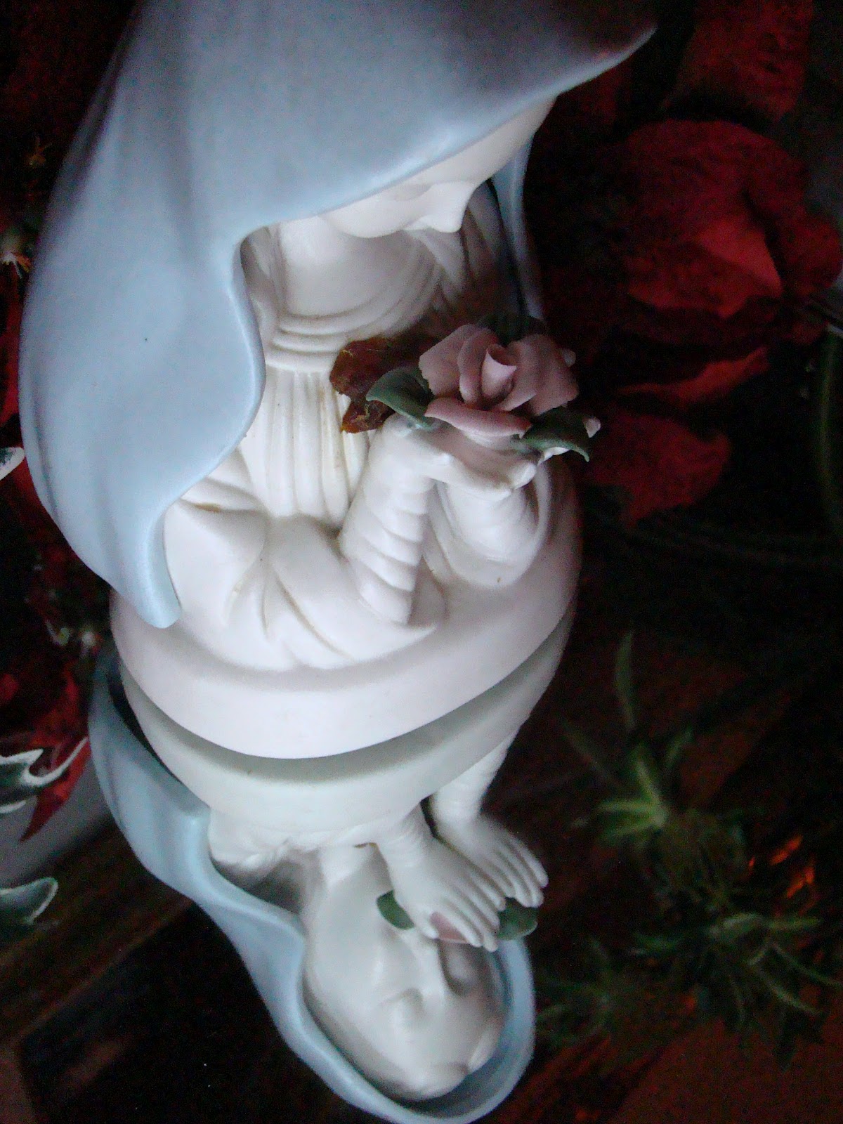 Miracles and Prophecies: ++ More pictures of Mary's Bleeding Heart