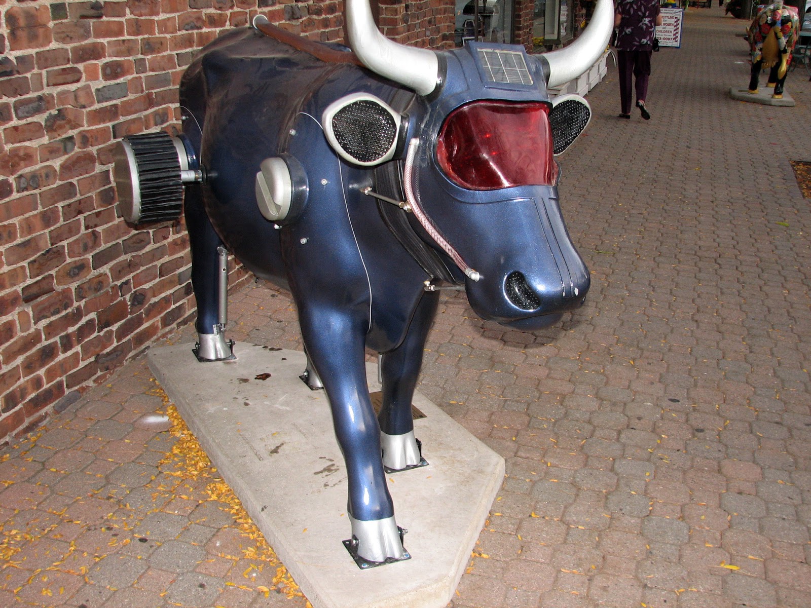 Gone Golf'in or Gone Photograph'in: The Cows of West Hartford