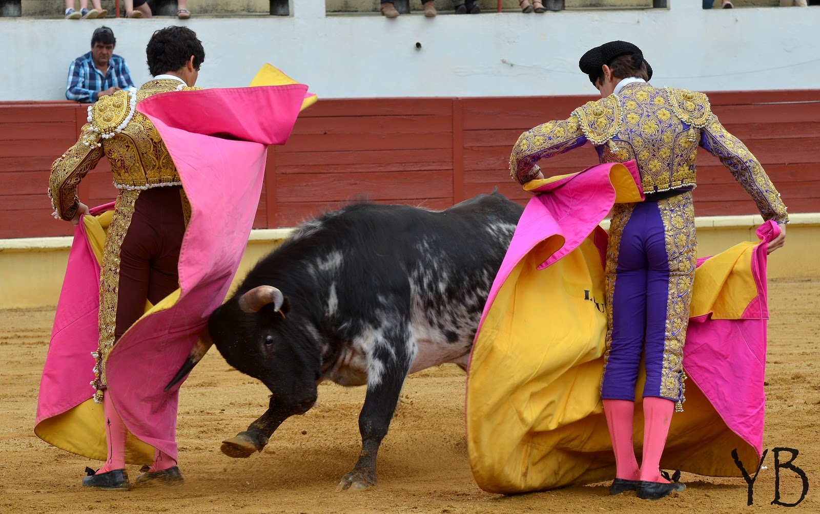 Bienvenue sur Yann BRIDONNEAU photographies.: NOVILLADA DE MALABAT A ...