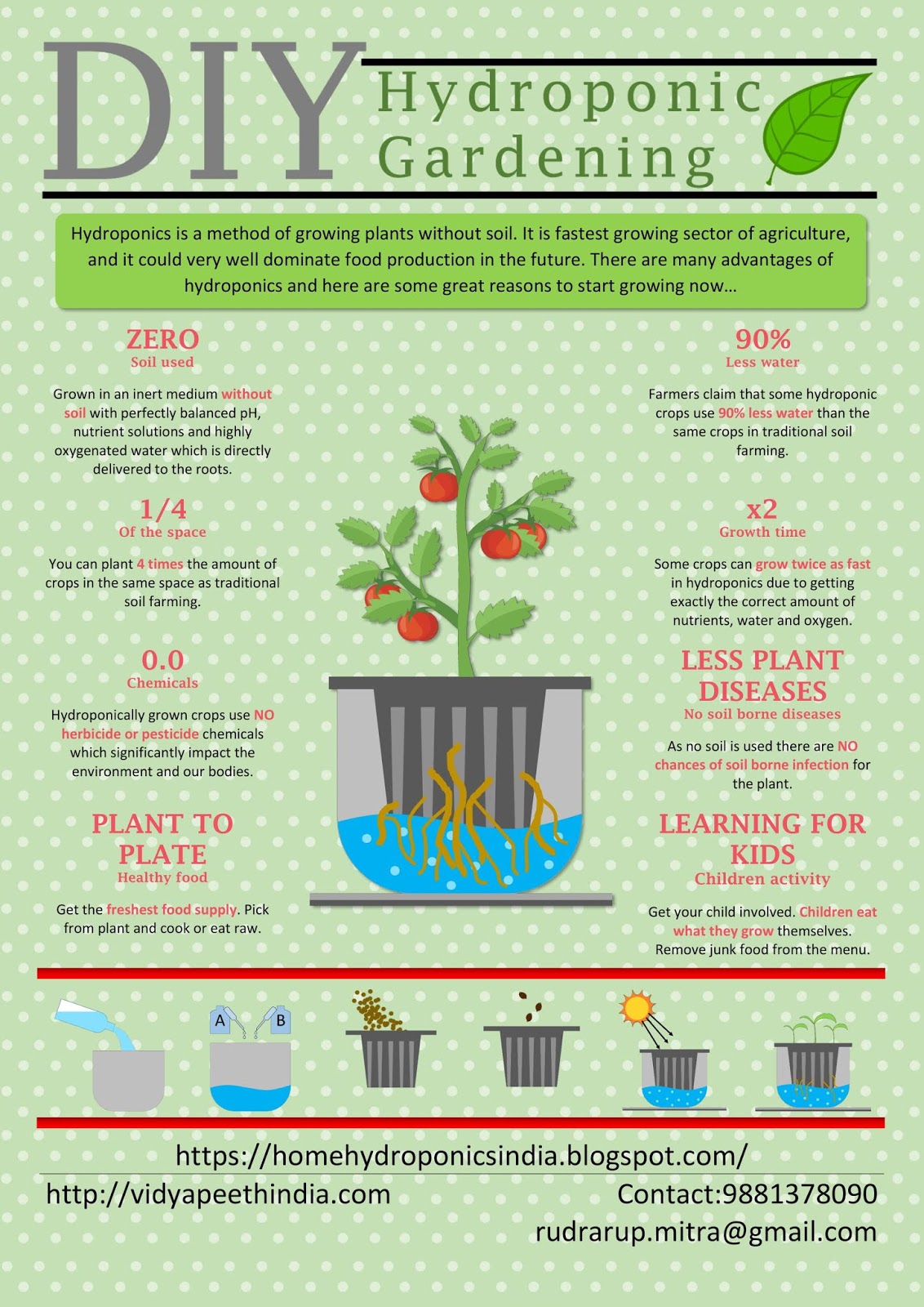 Home Hydroponics: Hydroponics poster