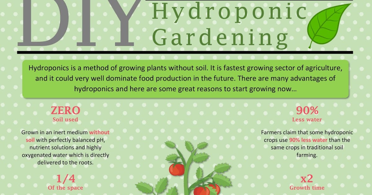 Home Hydroponics: Hydroponics poster