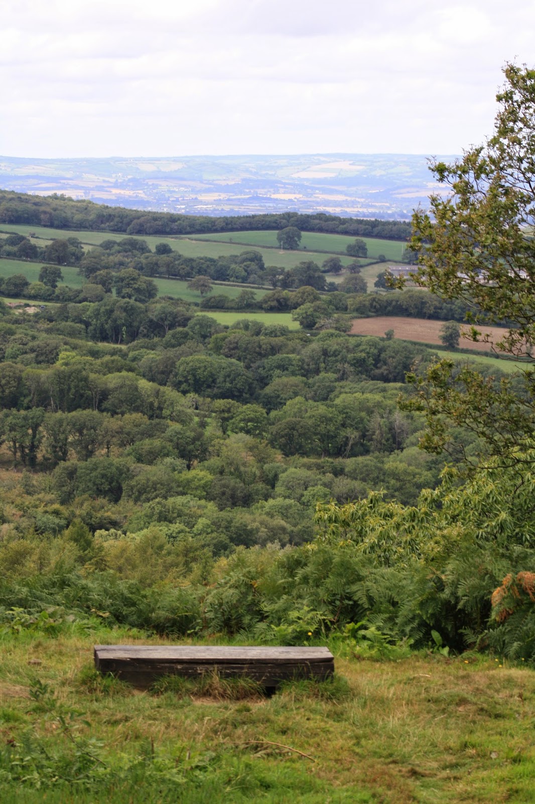 Views from Somerset: Castle Neroche on the Blackdown Hills in Somerset.