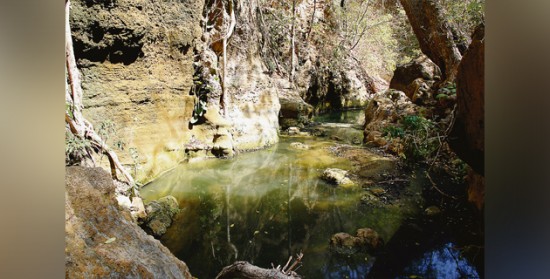 Technology Integration