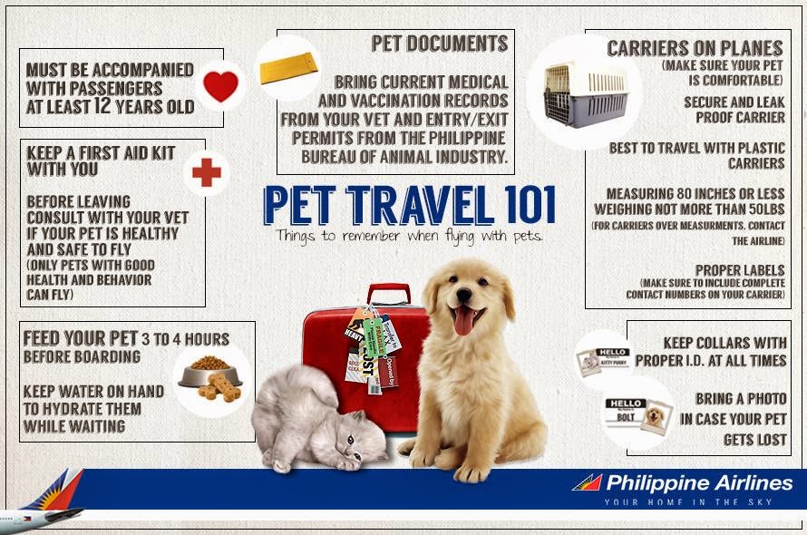 Cebu Pacific Pet Cargo Price Offers Discounts Save 58 Jlcatj gob mx cebu-pacific-pet-cargo-price-offers-discounts-save-58-jlcatj-gob-mx