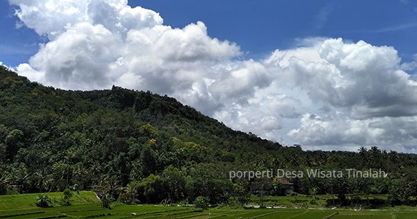 Pesona Desa Wisata Kulon Progo - Tempat Wisata Jogja