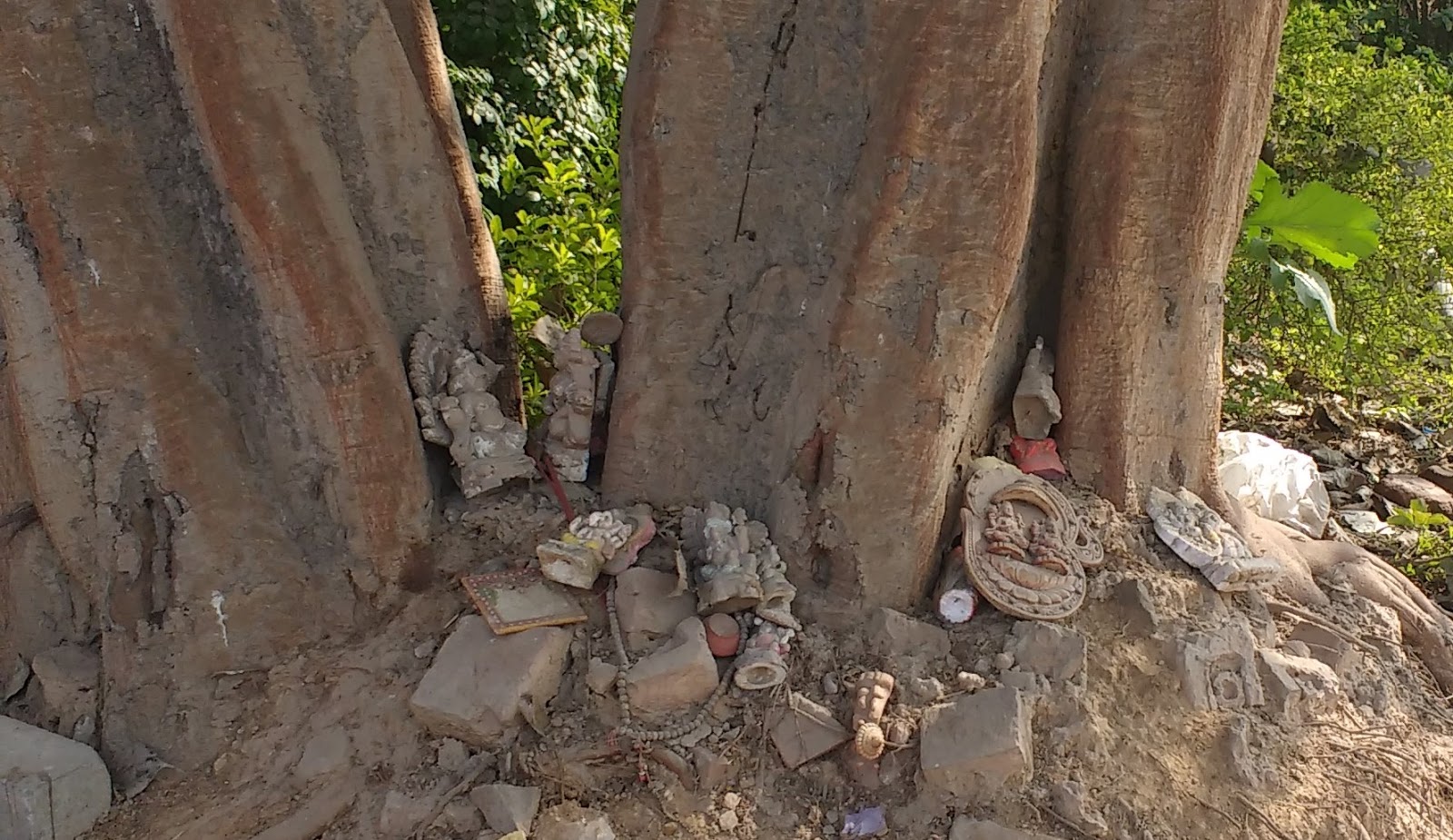 Footloose in India: Tree of Life or Tree of Enlightenment?