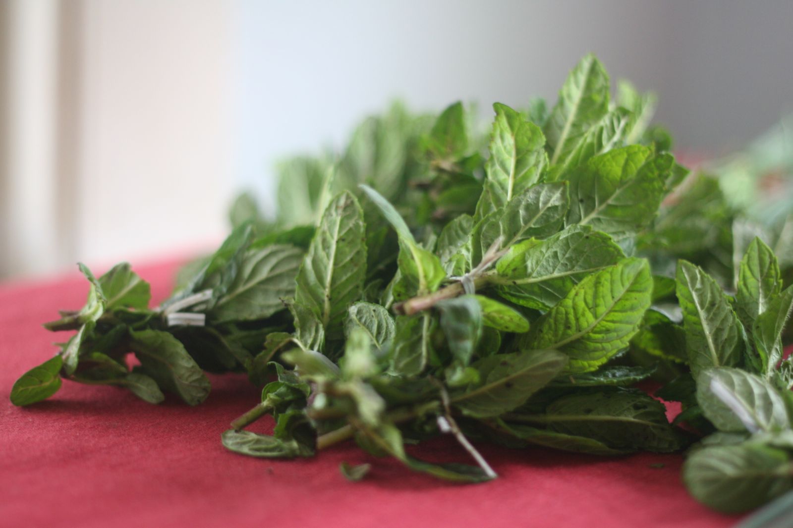 Life, Cultivated: Tabouleh, Tabbuli, Tabbouli, Perfect When the Weather ...
