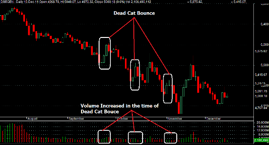 Chart Analysis: Dead Cat Bounce