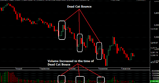 Chart Analysis: Dead Cat Bounce