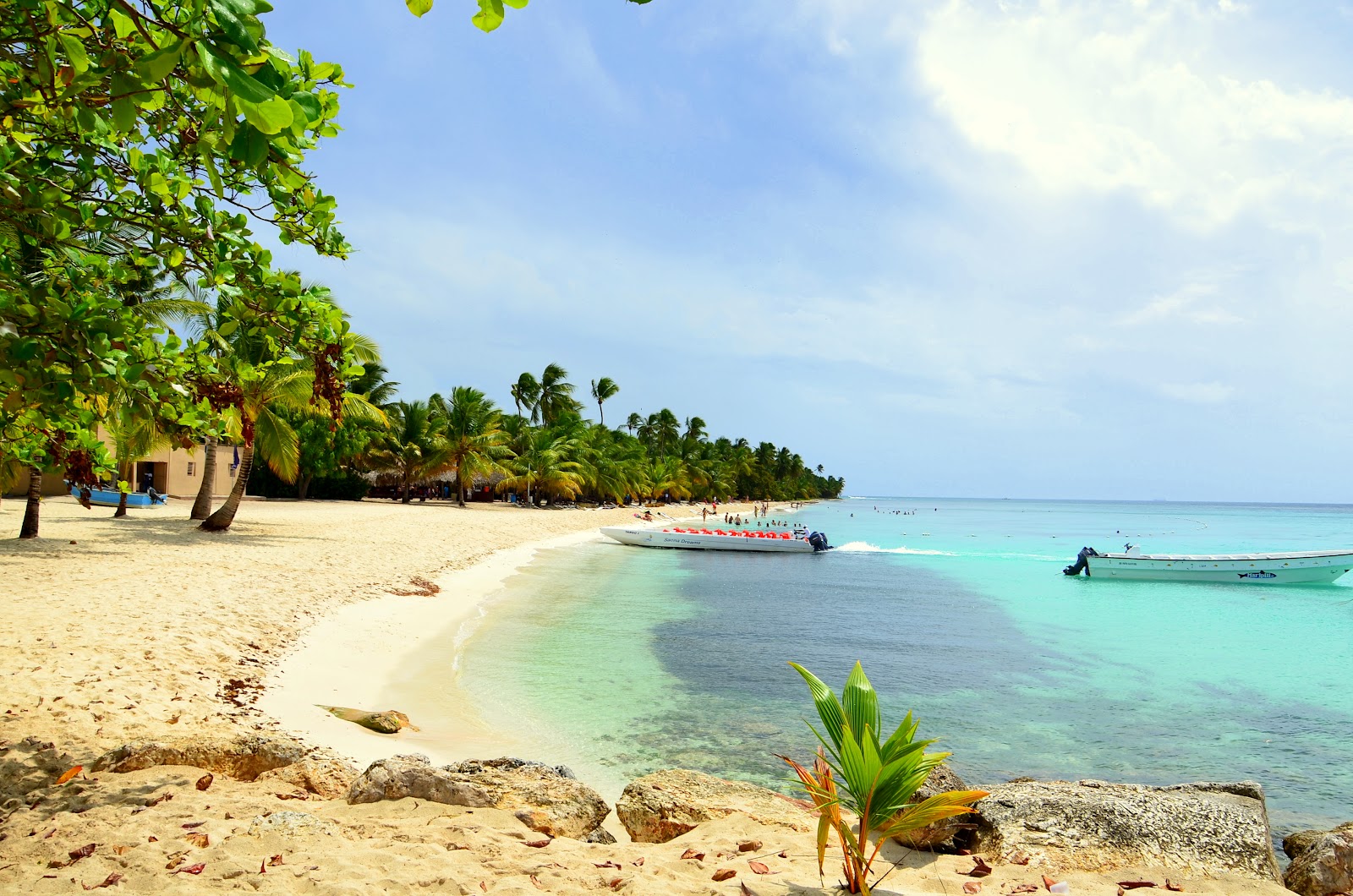 RD en fotos: Excursión a la Isla Saona.