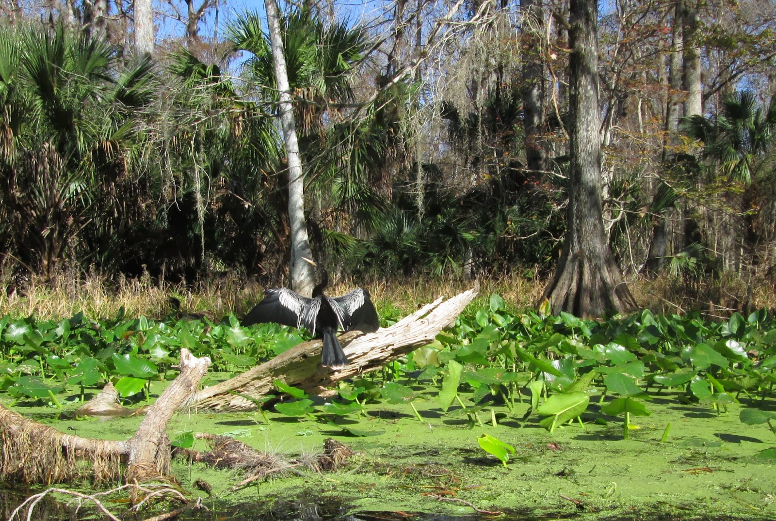 Silver River [1948] - developersez