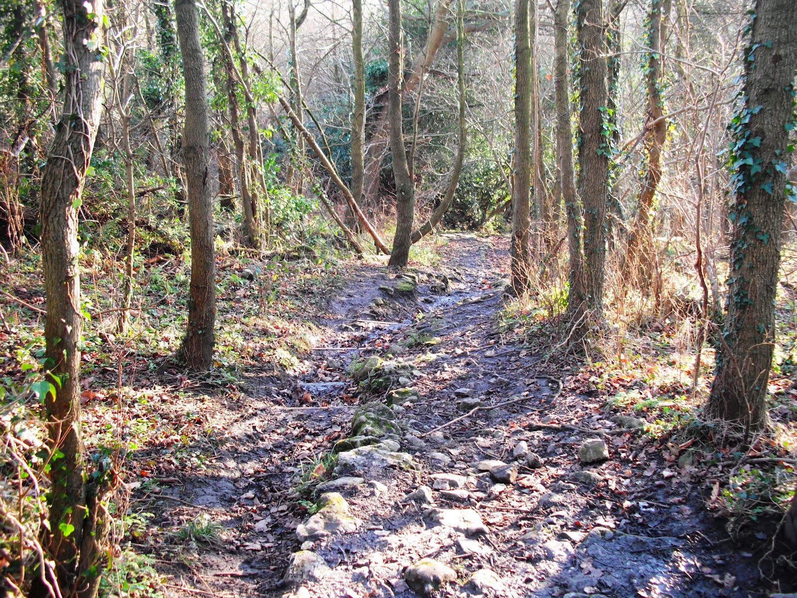 Love my life: Whitby Cinder Track and the Cleveland Way