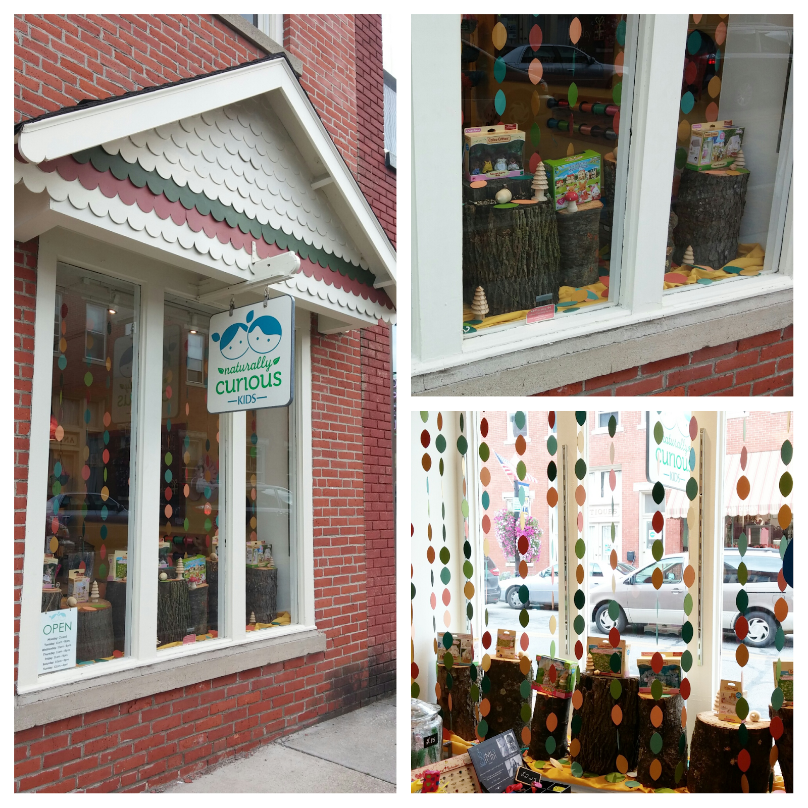Whimsical Ways: Naturally Curious Kids window display
