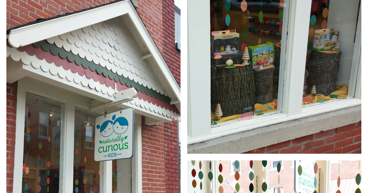 Whimsical Ways: Naturally Curious Kids window display