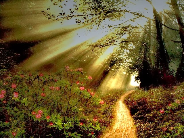 ♥.•* ★¨`*• A Beautiful Mess ♥.•* ★¨`*•: 11/30/13