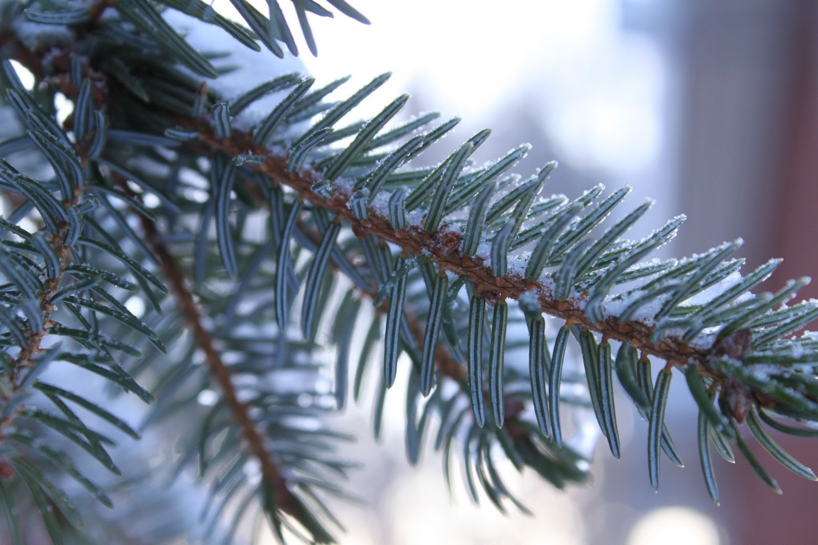 Bits of Yarn - Langanpätkiä: Talvi