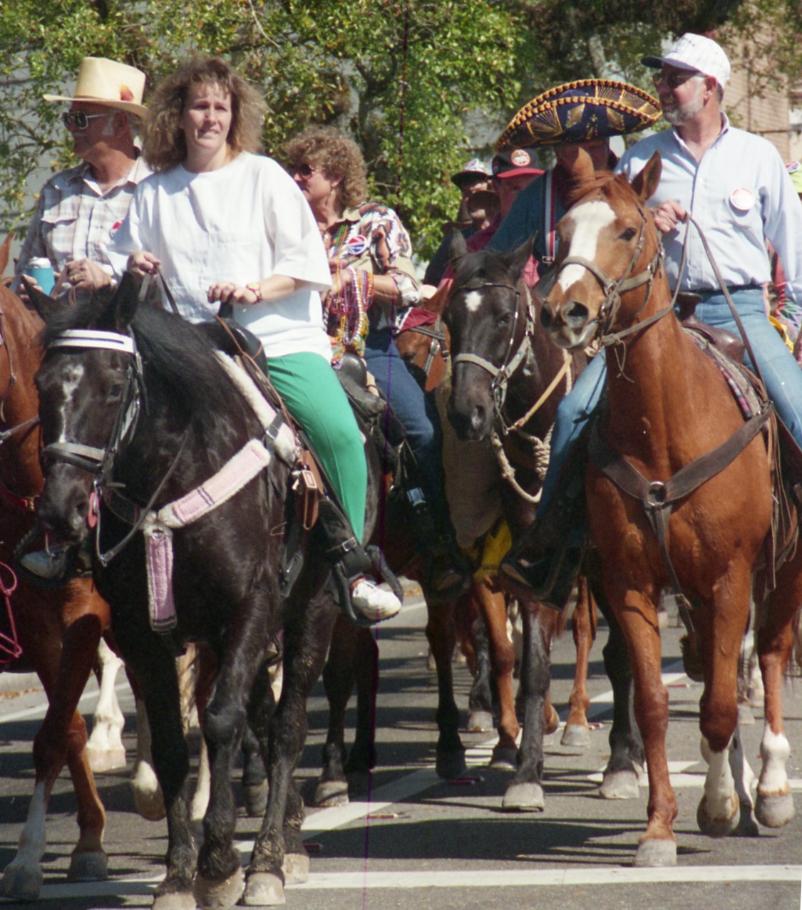 Tammany Family: Dixie Trail Ride