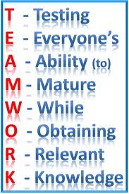 Characteristics of Successful Teams: February 2013