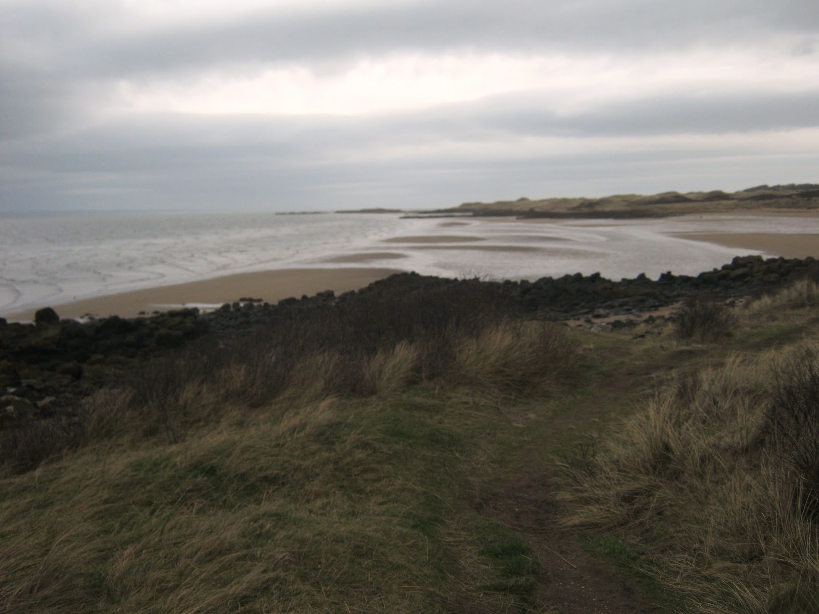coastrider: Spring Tides Beach Rides...