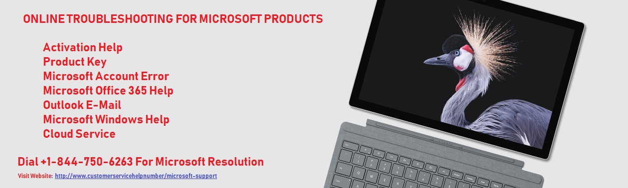 Microsoft Support- Online Troubleshooting