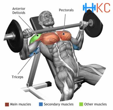 How to Perform Barbell Incline Bench Press - Health Kart Club