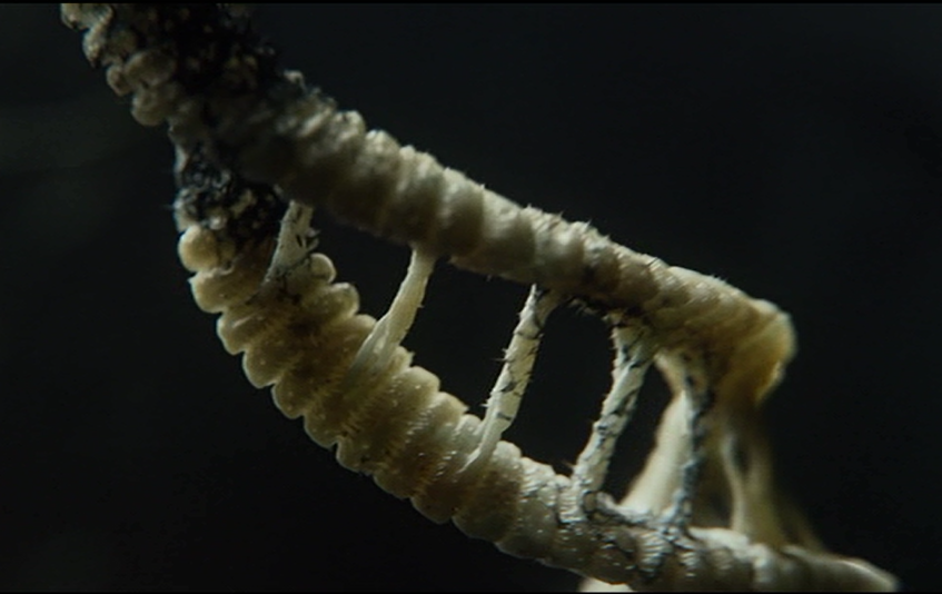 It Looks Human: Prometheus (2012) Part III - "They Engineered Us"