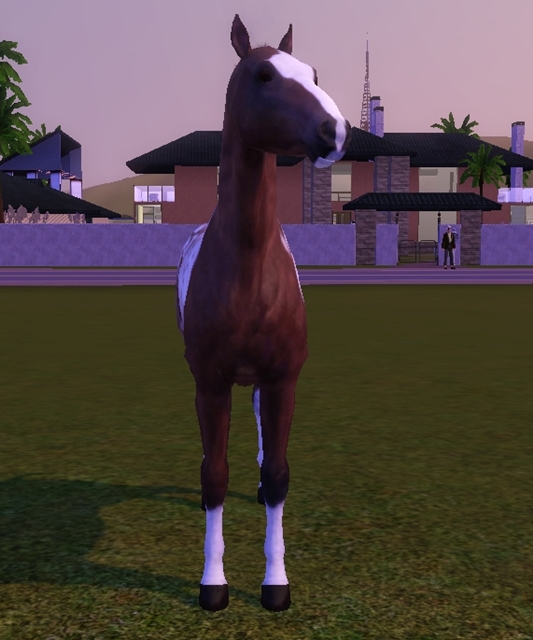 Breezy Sims