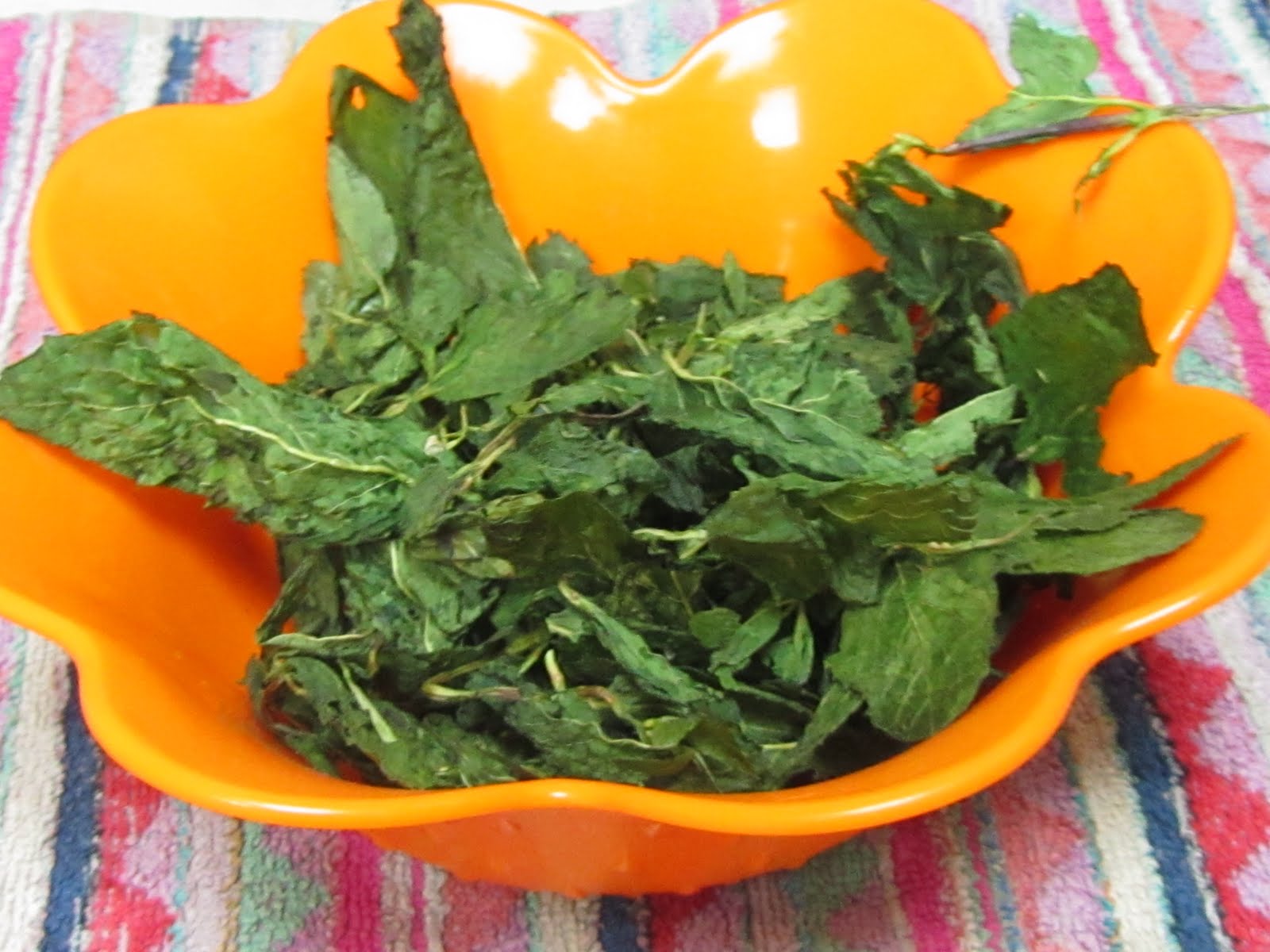 khatta meetha theeka: Pudina podi / Mint leaves powder