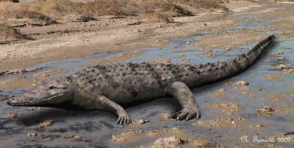 Escenarios prehistóricos: Diplocynodon