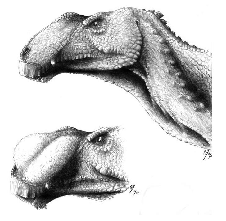 Species New to Science: [Paleontology • 2010] Gryposaurus: a taxonomic ...